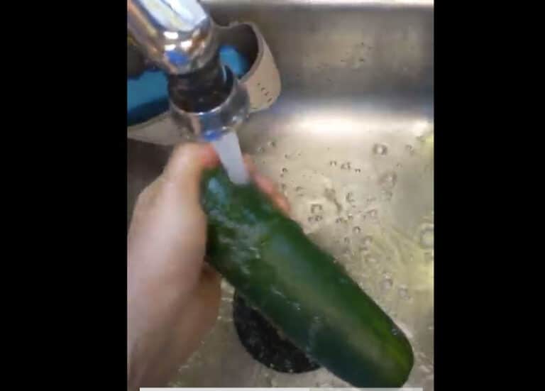 A Step By Step Guide To Making Artisan Pickles at Home – Pickle Wiki